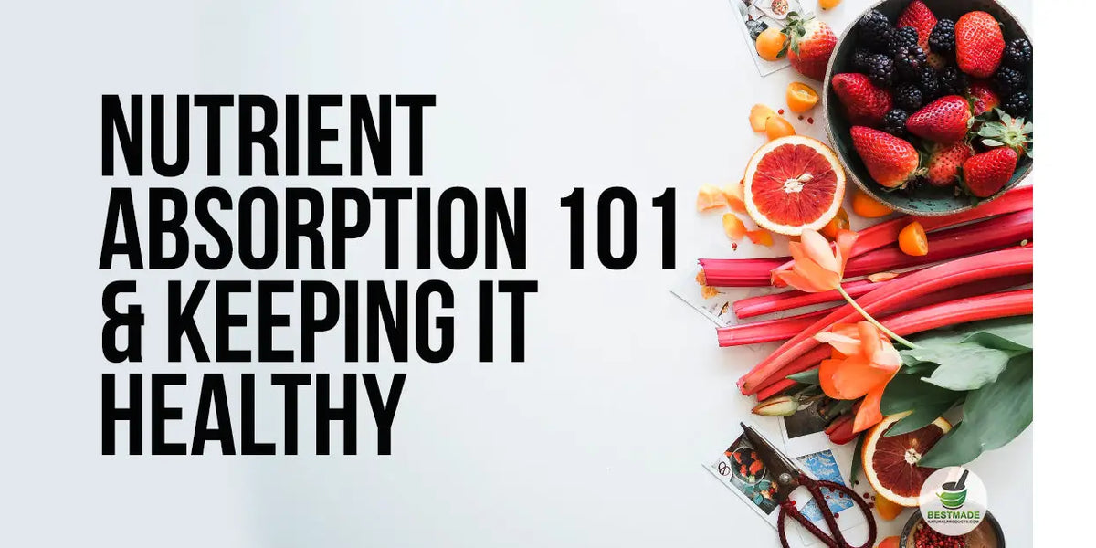 nutrient-absorption-101-and-keeping-it-healthy_1200x600_crop_center ...