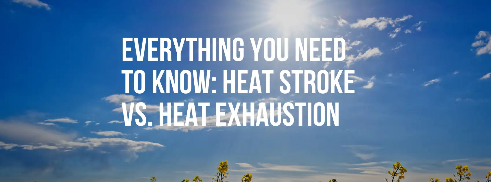 Surviving Summer: Heat Stroke vs. Heat Exhaustion